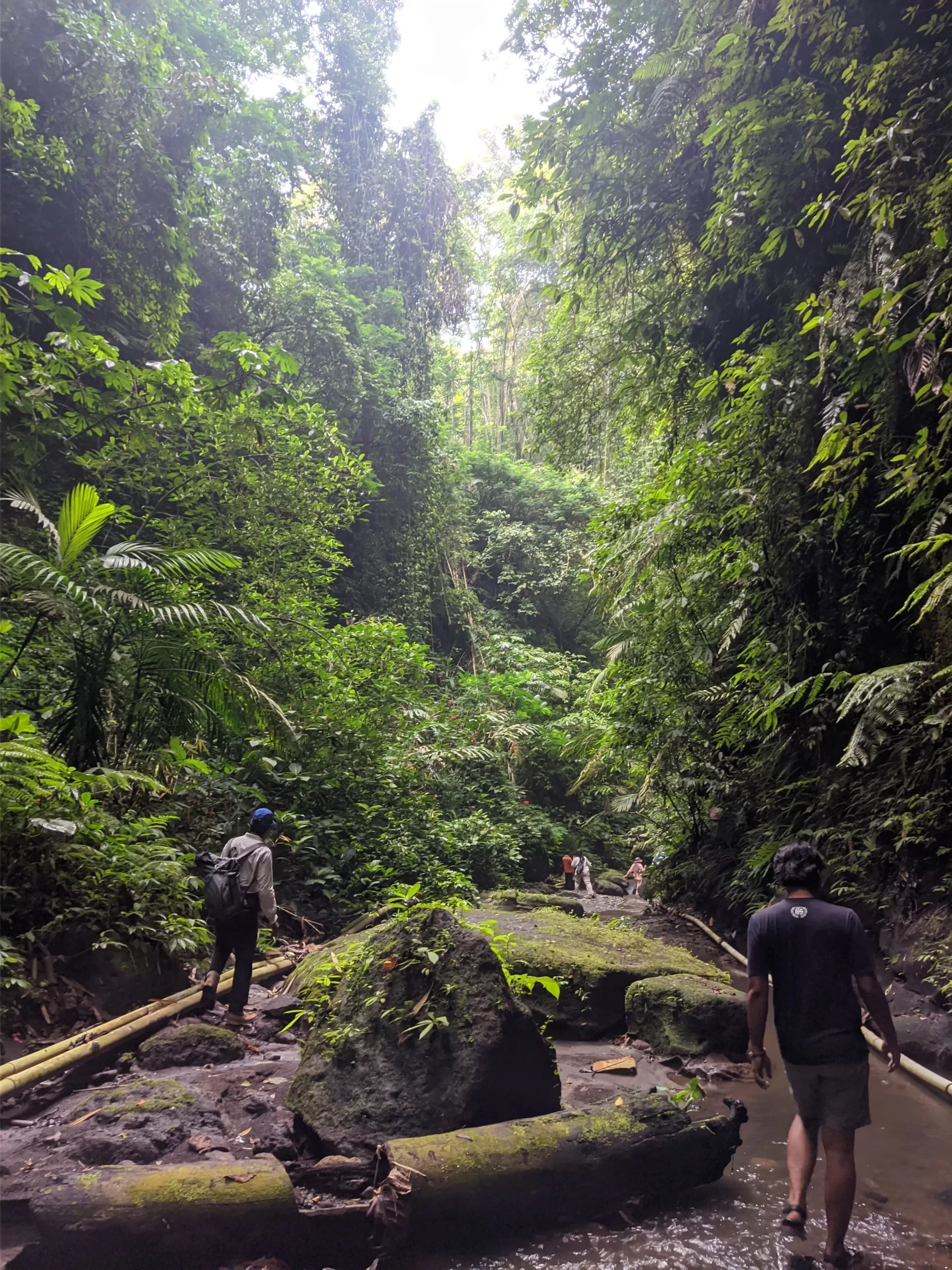 Desa Wisata Taro (6) - Wisatasekolah.com
